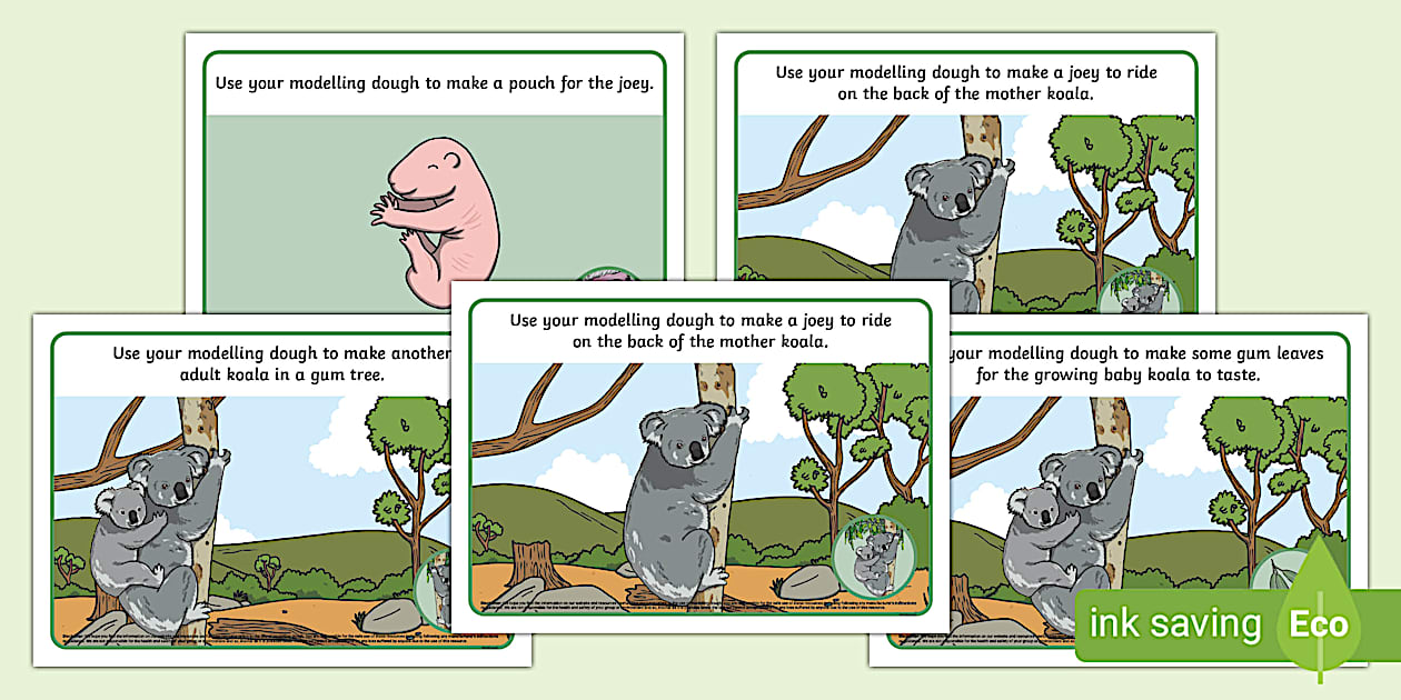 Koala Life Cycle Modelling Dough Mats - Twinkl