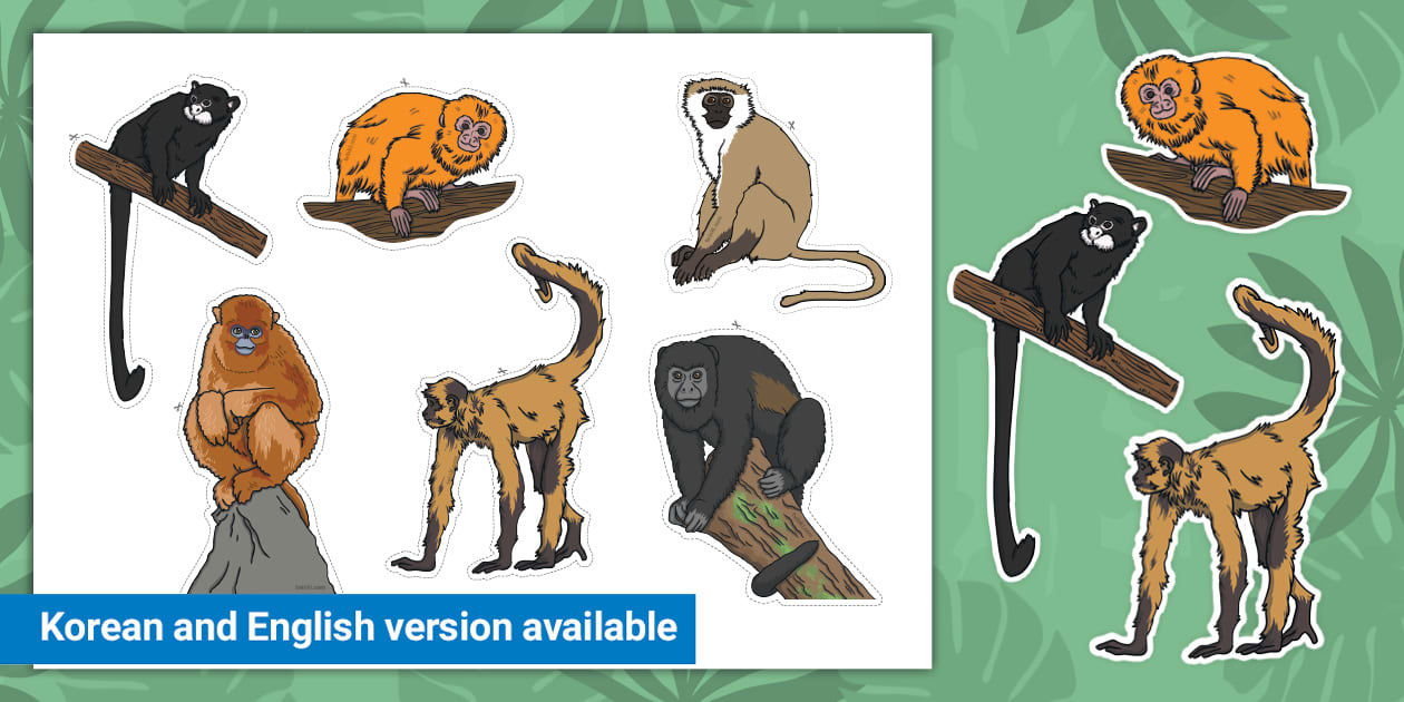 원숭이 디스플레이 도안 | Monkey Display Cut-Outs