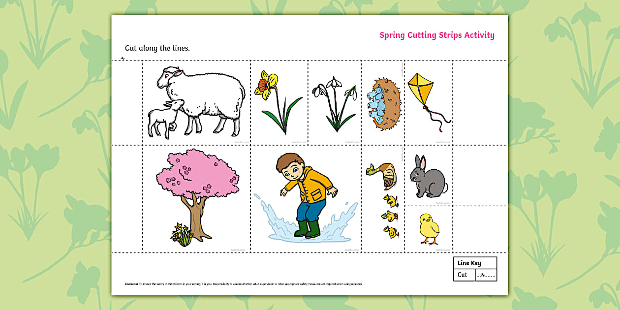Spring Cutting Strips Activity (teacher made) - Twinkl
