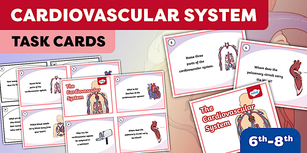 The Cardiovascular System Task Cards for 6th-8th Grade