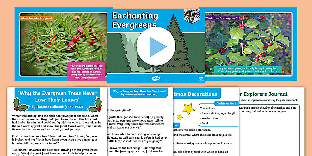 Outdoor Explorers KS1 Winter Lesson 2: Enchanting Evergreens
