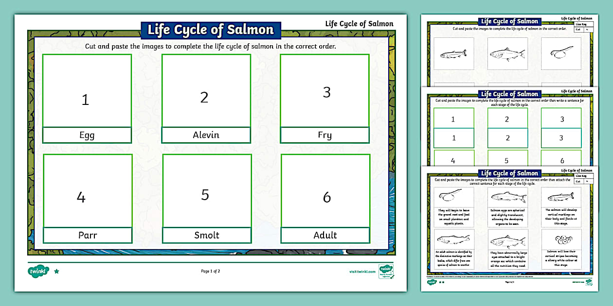 Salmon Life Cycle Differentiated Sequencing Task - Twinkl