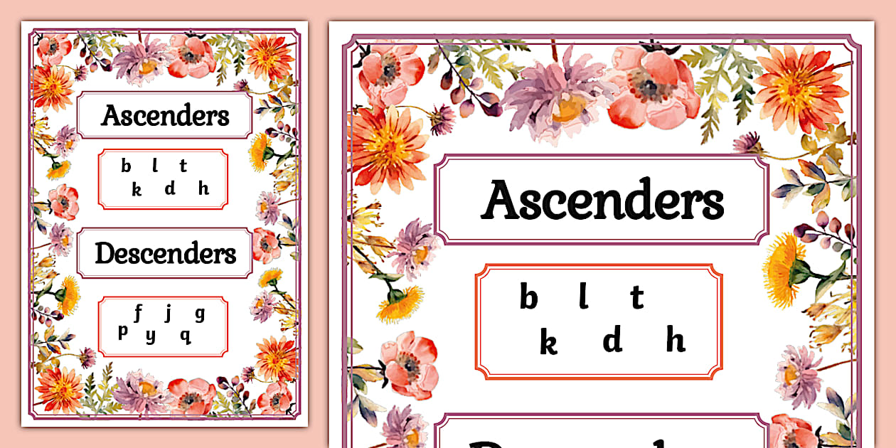 Wildflower Botanical Themed Ascenders and Descenders Display Poster