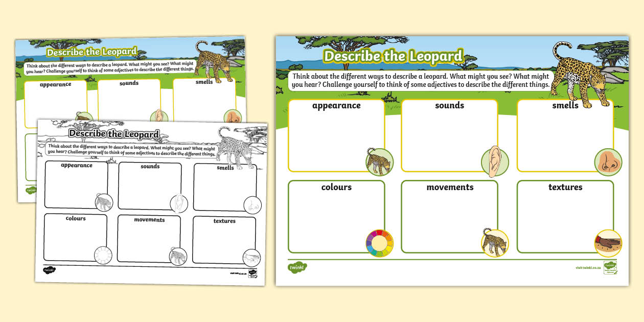 Leopard Adjectives Worksheet (teacher made) - Twinkl