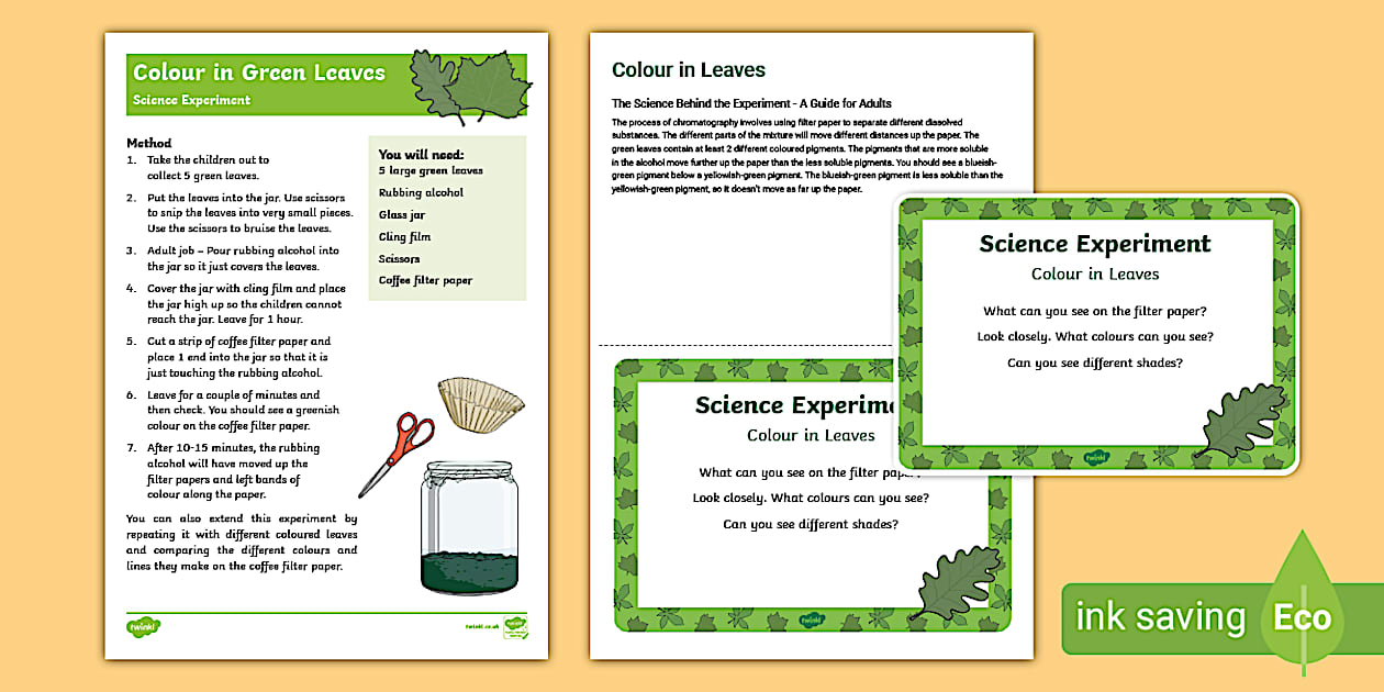 EYFS Colour in Leaves Science Experiment and Prompt Card Pack