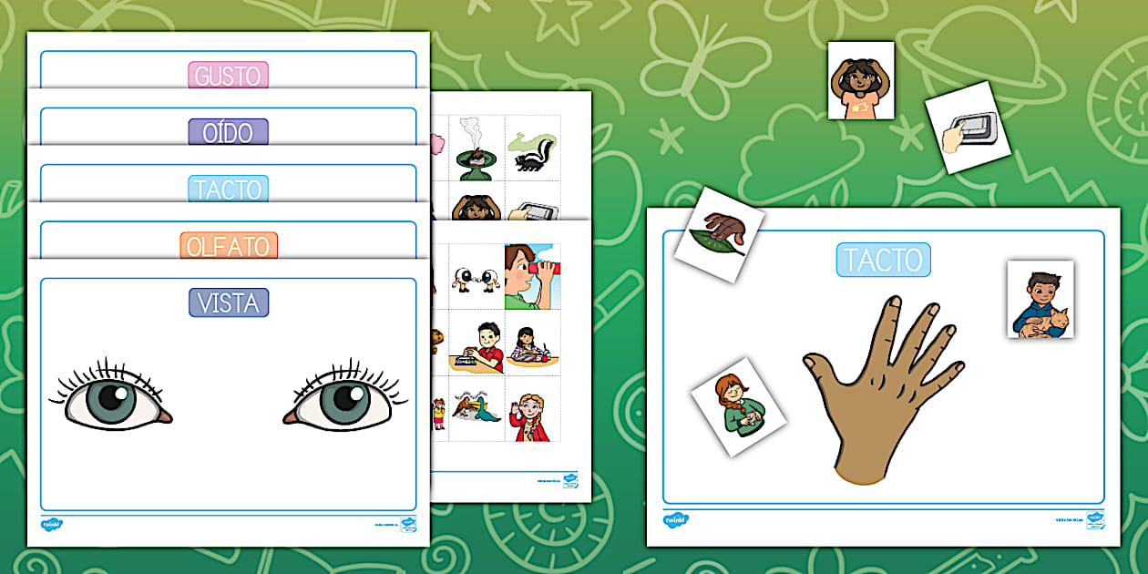 Ficha de actividad: Los cinco sentidos - Asociación
