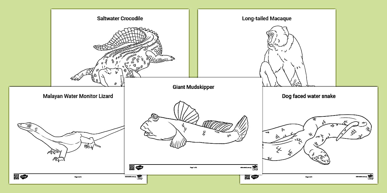 Sungei Buloh Wetland Reserve Animals Colouring Activity