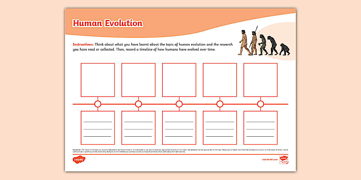 Human Evolution Timeline Worksheet (teacher made) - Twinkl