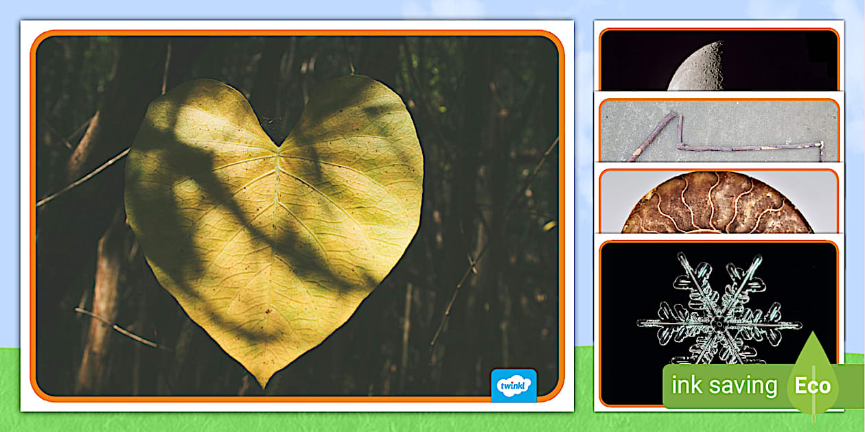 Nature-Themed Non-Standard Shape Posters - (Teacher-Made)