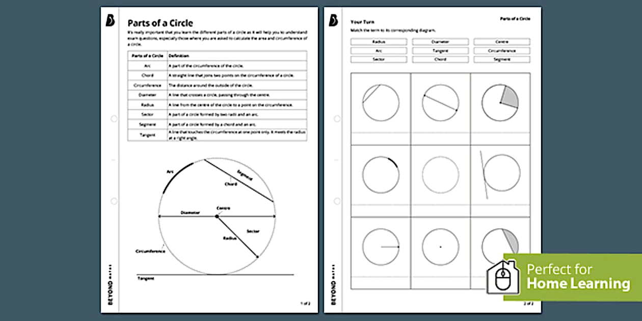 👉 Parts of a Circle - Home Learning | KS3 Maths | Beyond