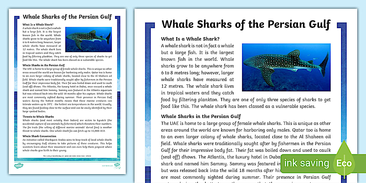 Whale Sharks of the Persian Gulf Fact File (teacher made)