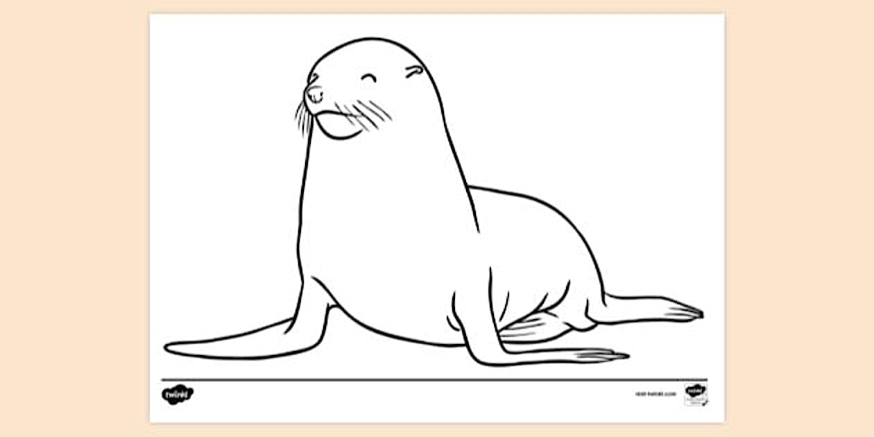 Printable Seal Colouring Page | Colouring Sheets - Twinkl