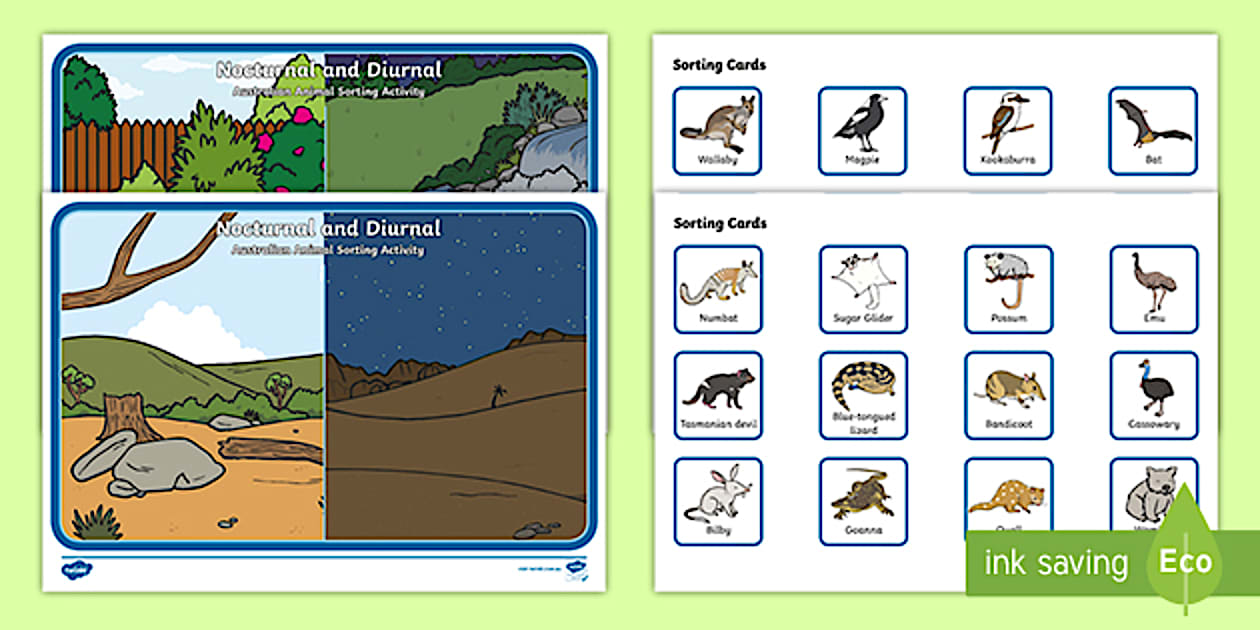 TAS Nocturnal and Diurnal Australian Animals Sorting Activity