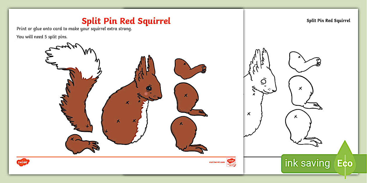 Red Squirrel Split Pin Activity (teacher made) - Twinkl