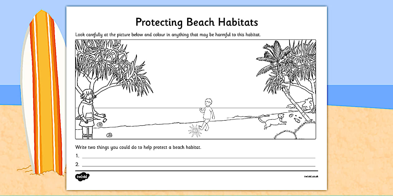 Protecting Beach Habitats Coloring Activity (Teacher-Made)