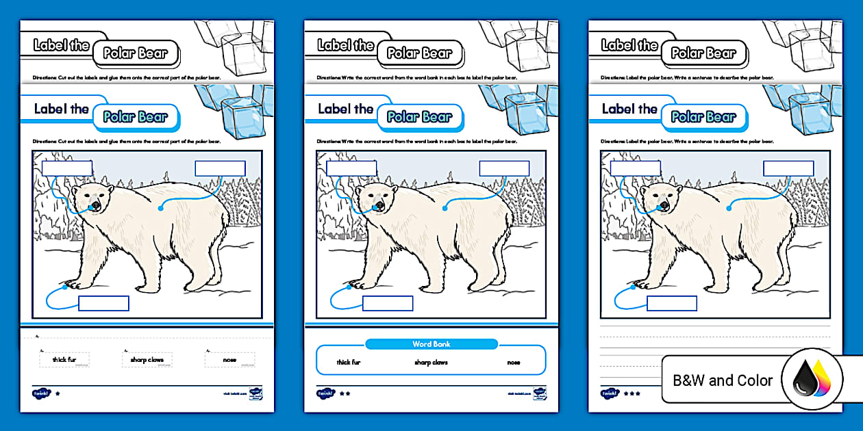 Kindergarten Label the Polar Bear Worksheet - Twinkl