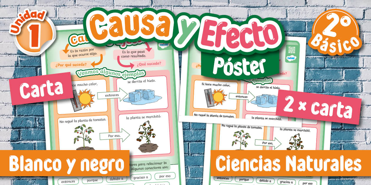Póster | Causa y Efecto | Ciencias Naturales | Causalidad