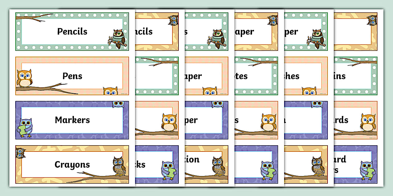 Owl Themed Classroom Labels (ティーチャーメイド)