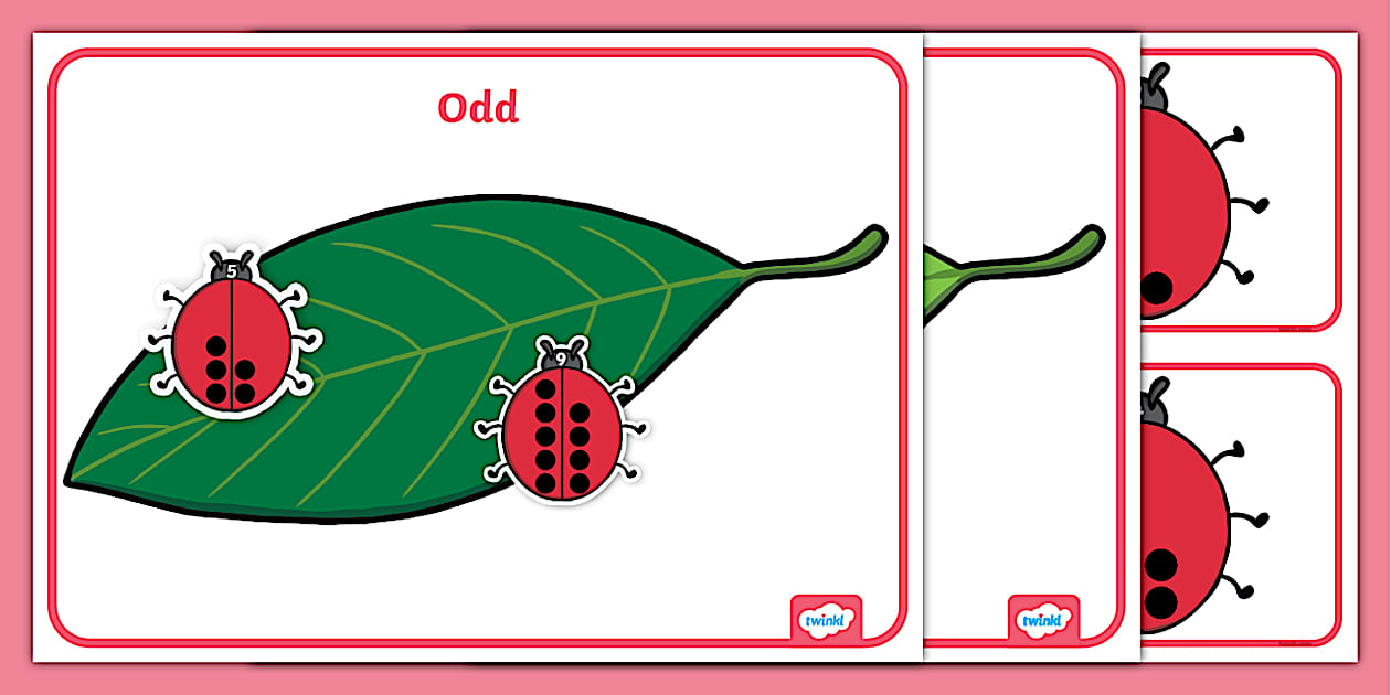 👉 Even and Odd Numbers Ladybirds Sorting Activity