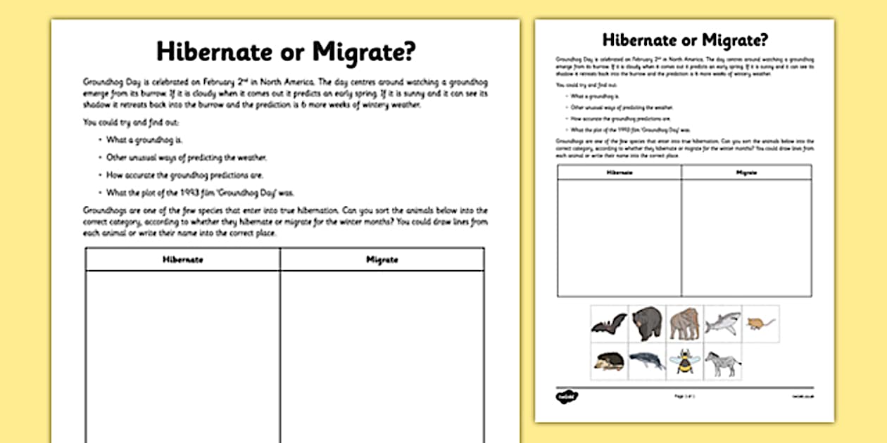 Editable Hibernate or Migrate? Groundhog Day Worksheet