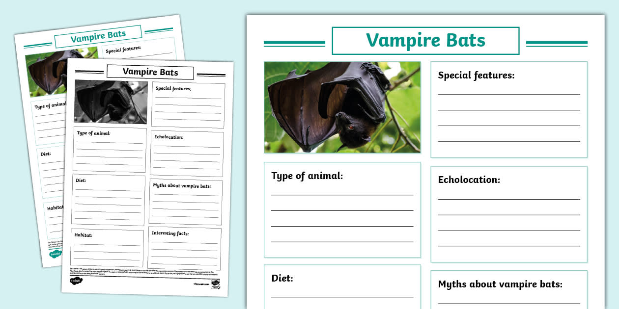 Vampire Bats Fact File Template (teacher made) - Twinkl