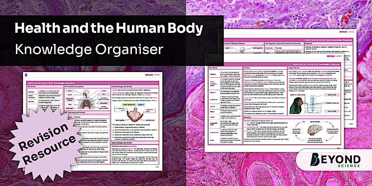 Health and the Human Body Knowledge Organiser | KS3 Biology