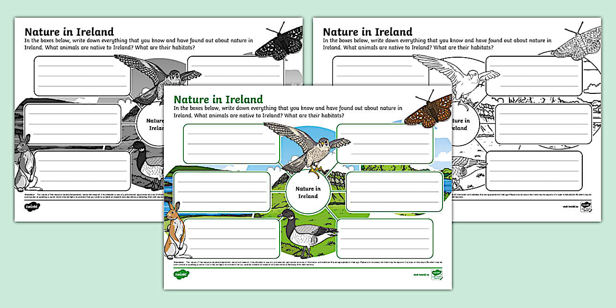 Nature in Ireland Mind Map - Twinkl Geography (teacher made)