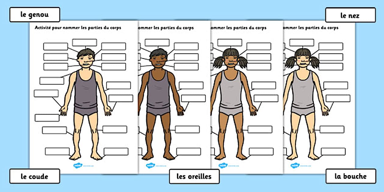 Body Parts Labelling Activity French (teacher made) - Twinkl