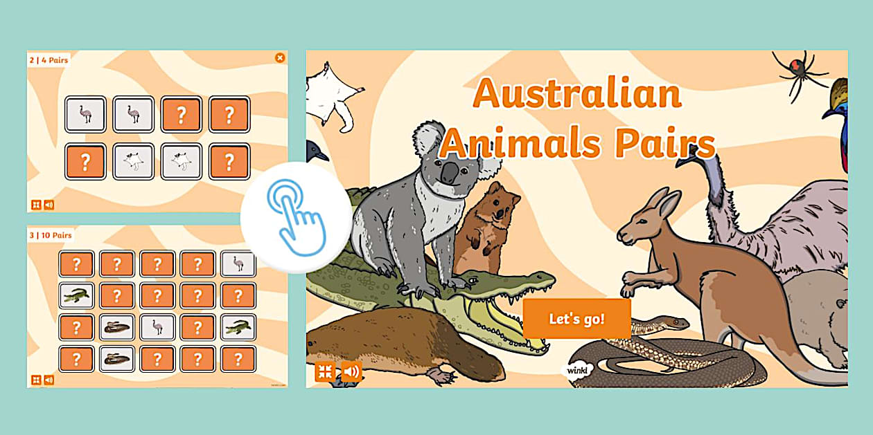 Australian Animals Interactive Pairs Game | Twinkl - Twinkl