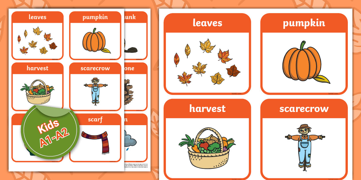 ESL Autumn Flashcards [Kids, A1-A2] (teacher made) - Twinkl
