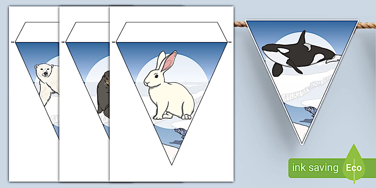 Arctic Animals Bunting - Twinkl - KS1 (professor feito)