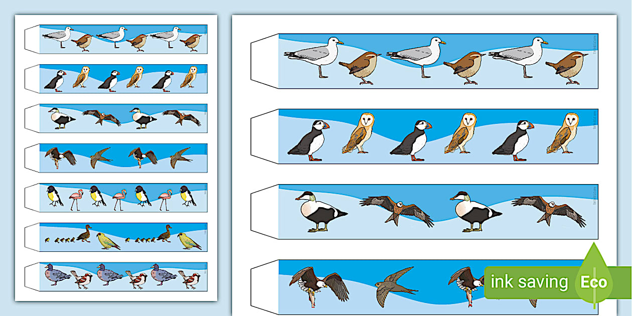 Bird-Themed Paper Chains, Birds, Bird Crafts (teacher made)