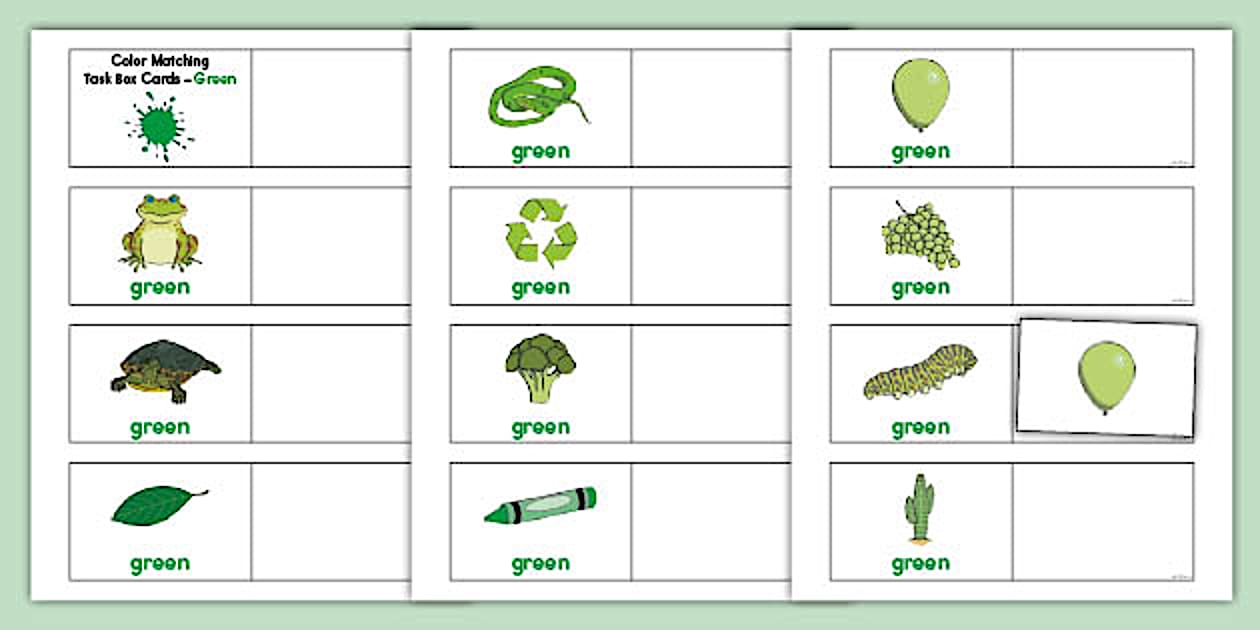 Color Matching Task Box Cards-Green (teacher made) - Twinkl