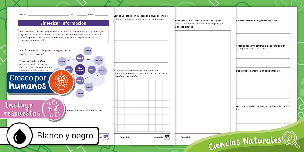 organizador gráfico | sintetizar | habilidades | resumir