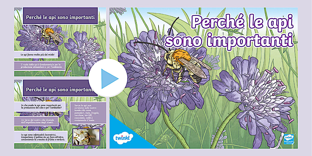 Presentazione PowerPoint: Perché le Api sono Importanti?
