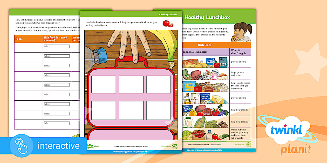 Interactive PDF: Science: Year 3: A Healthy Lunchbox