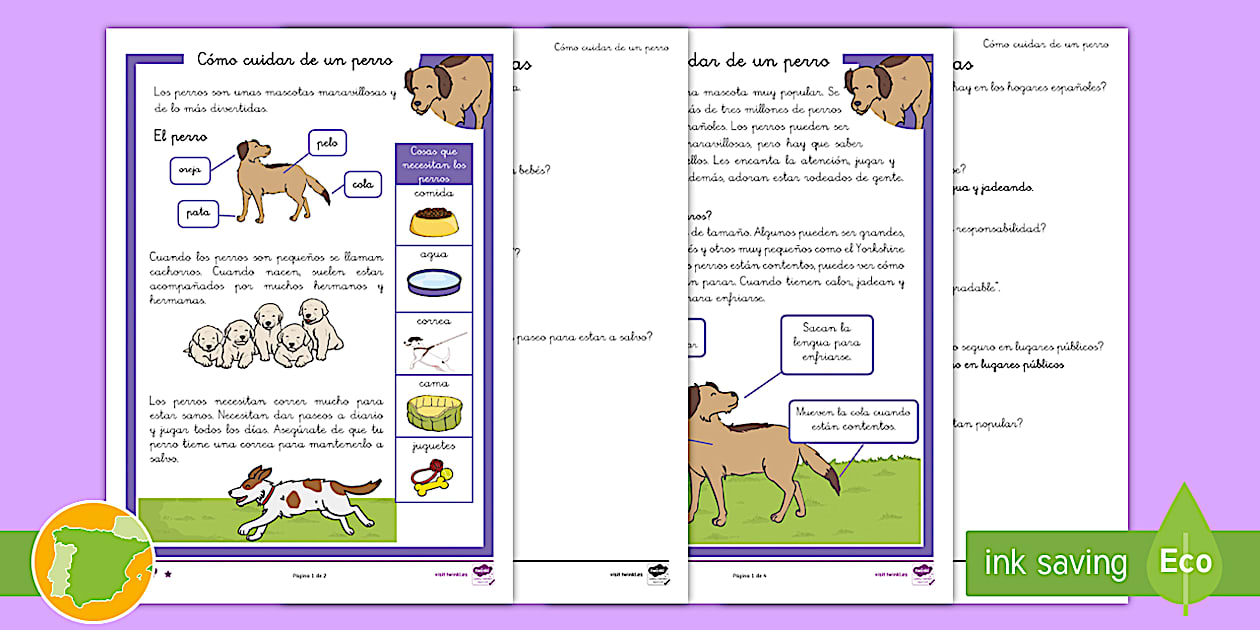 Editable Comprensión lectora por niveles: Cómo cuidar de un perro