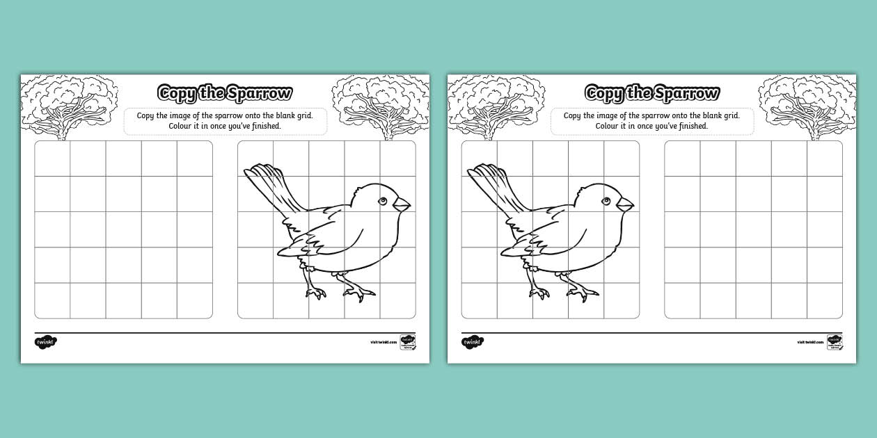Copy the Sparrow Worksheet - Twinkl Art Activity - Twinkl
