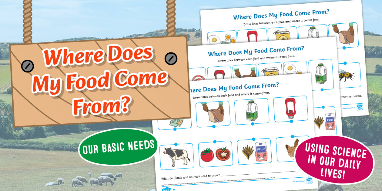 Year 1 Food Sources Worksheet Set