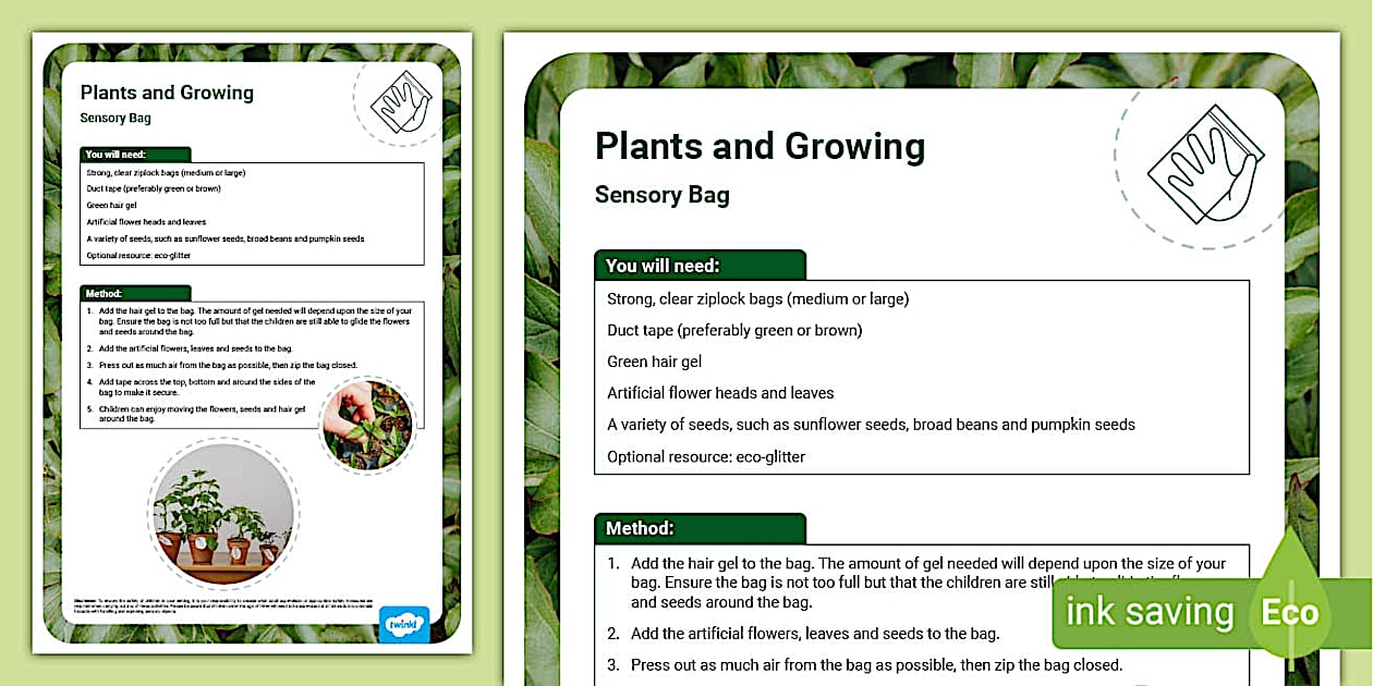 Plants and Growing Sensory Bag | Twinkl (teacher made)
