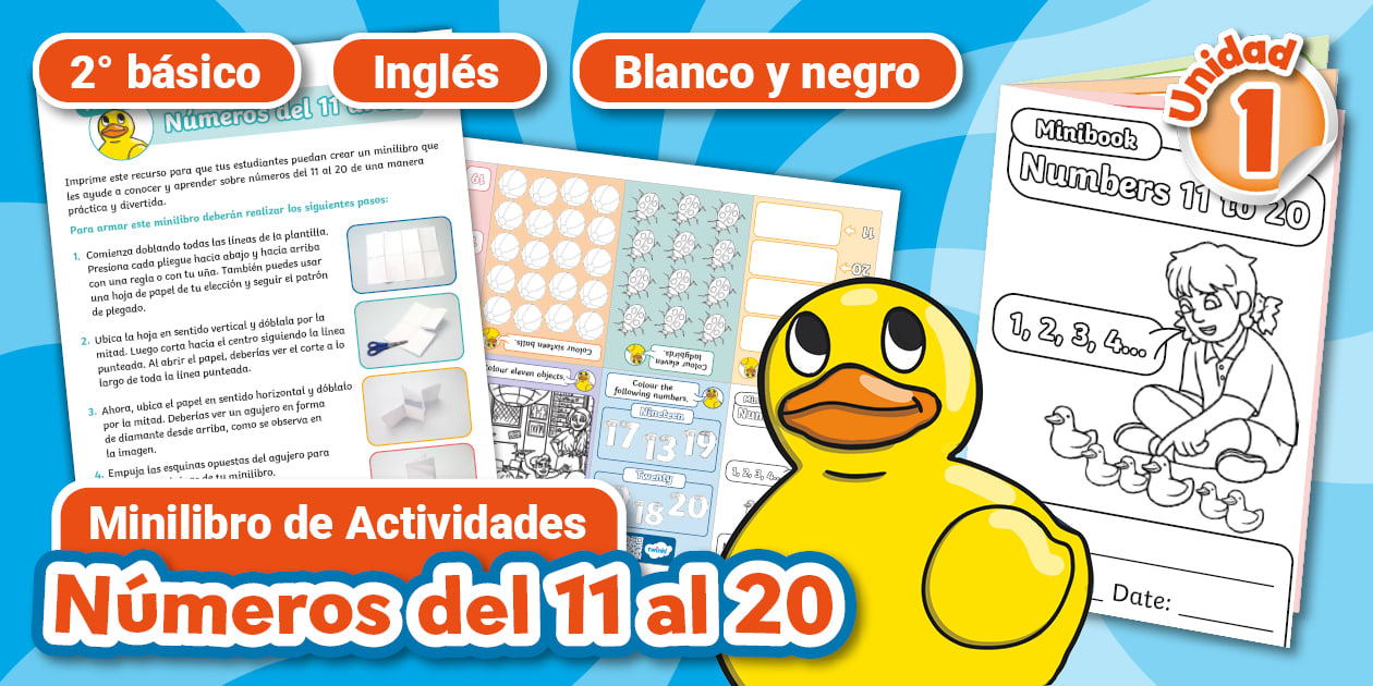 Minilibro de Actividades | Números | 11 al 20 | Inglés