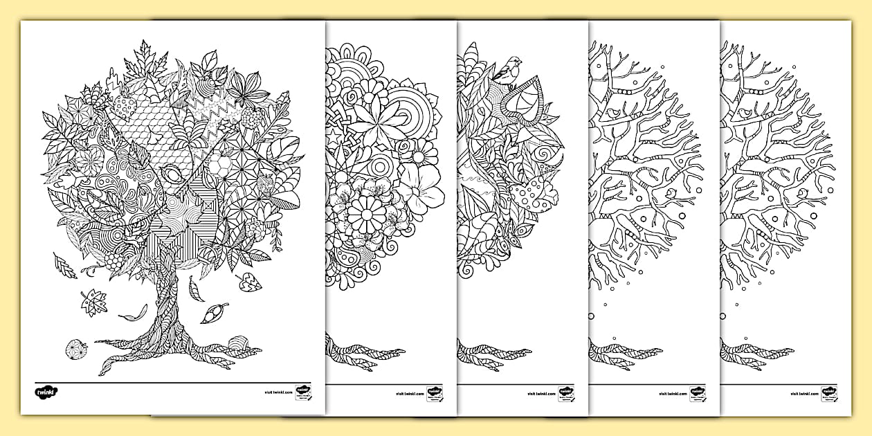 Seasons of Trees Mindfulness Coloring Pages (teacher made)