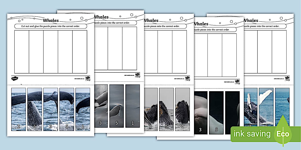 Whale Puzzles To Support Teaching of Walk of the Whales