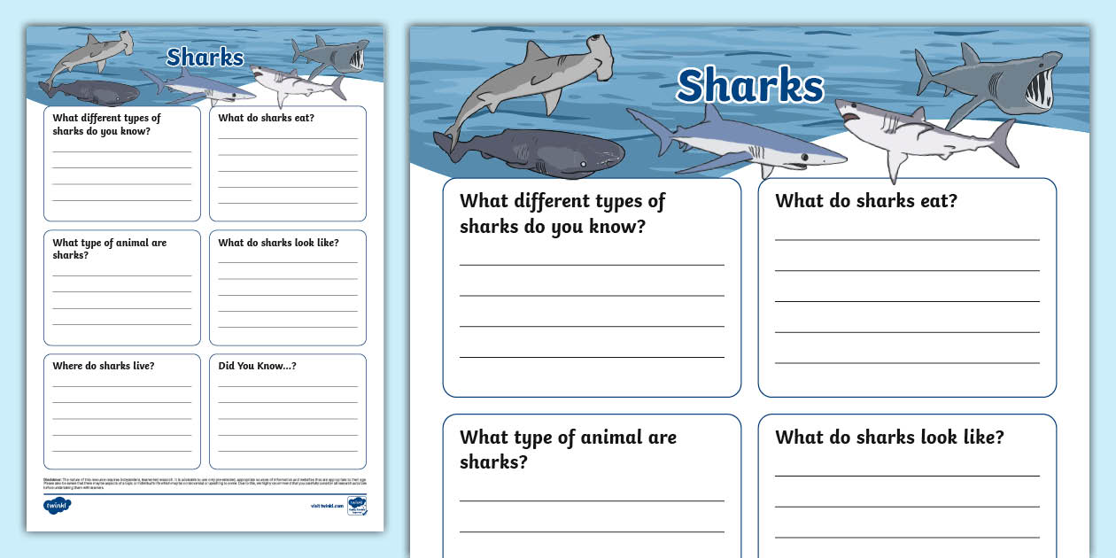 Shark Fact File Template | Twinkl Resources (teacher made)