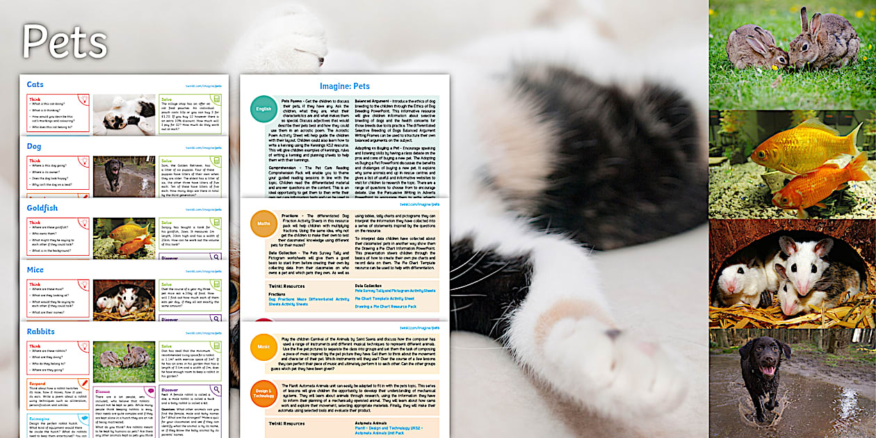 Imagine Pets KS2 Resource Pack (teacher made) - Twinkl