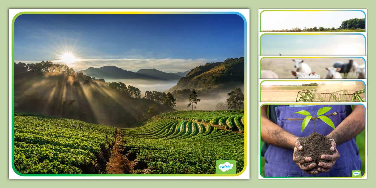 Op die Plaas Vertoonfotos - Twinkl Display - Twinkl