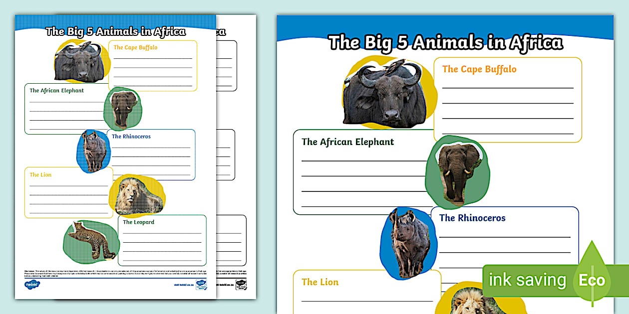 The Big 5 Animals from Africa Fact File Template I Resource
