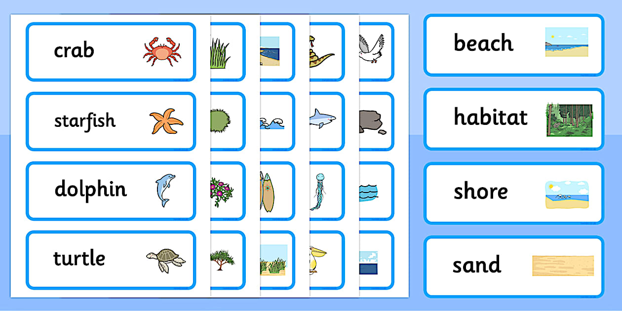 Beach Habitat Word Cards - Twinkl