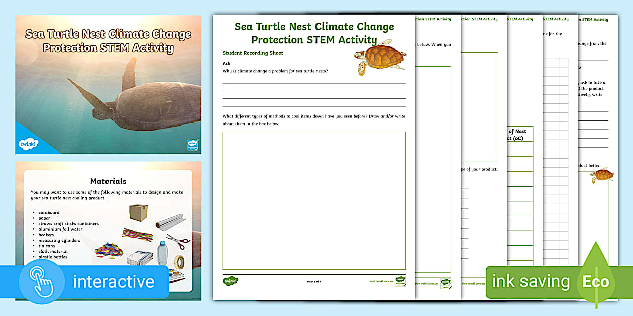 Sea Turtle Nest Climate Change Protection STEM Activity