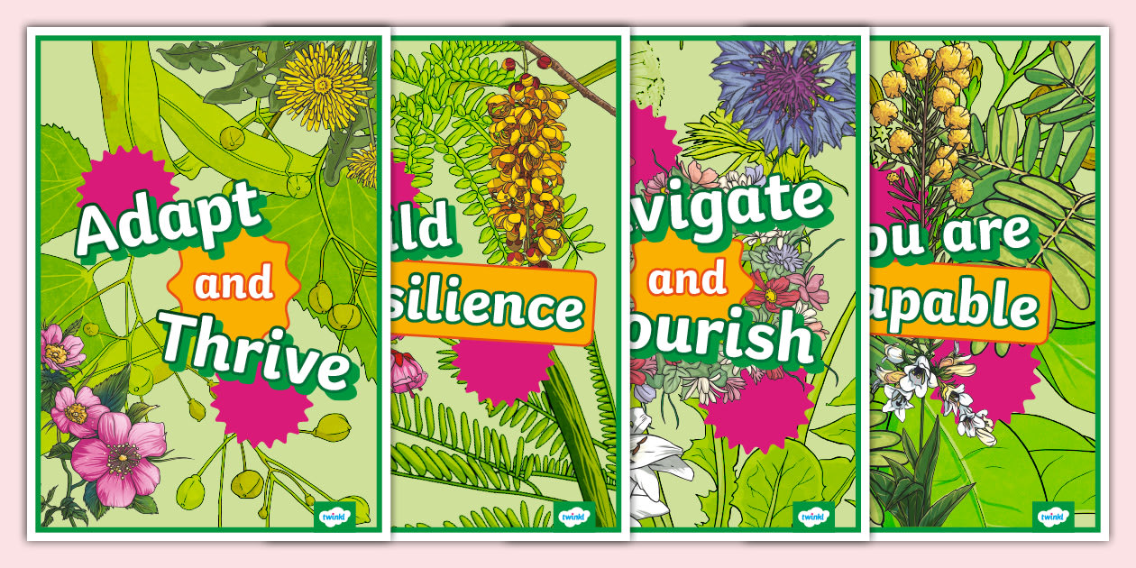 STEM Motivational Posters – Survival (teacher made)